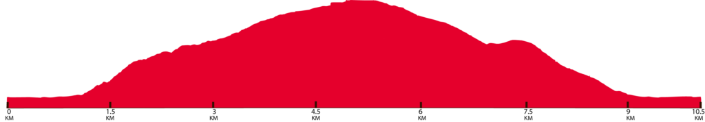 Mini-Taur | Meet the Minotaur