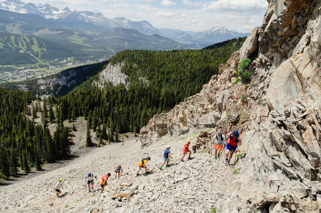 Gallery | Meet the Minotaur